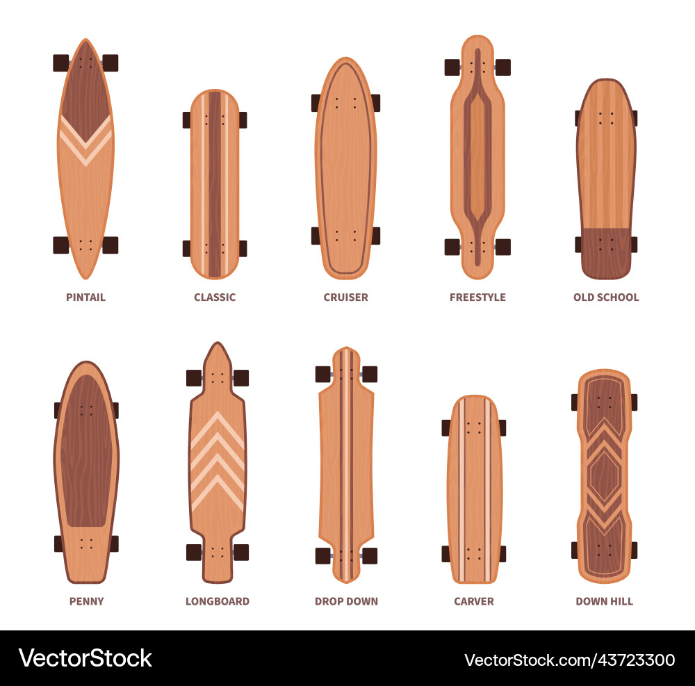 Skate board types different wooden longboards Vector Image