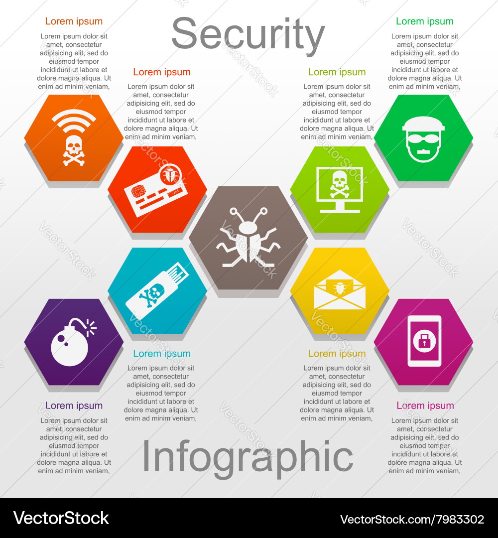 Information security infographic Royalty Free Vector Image