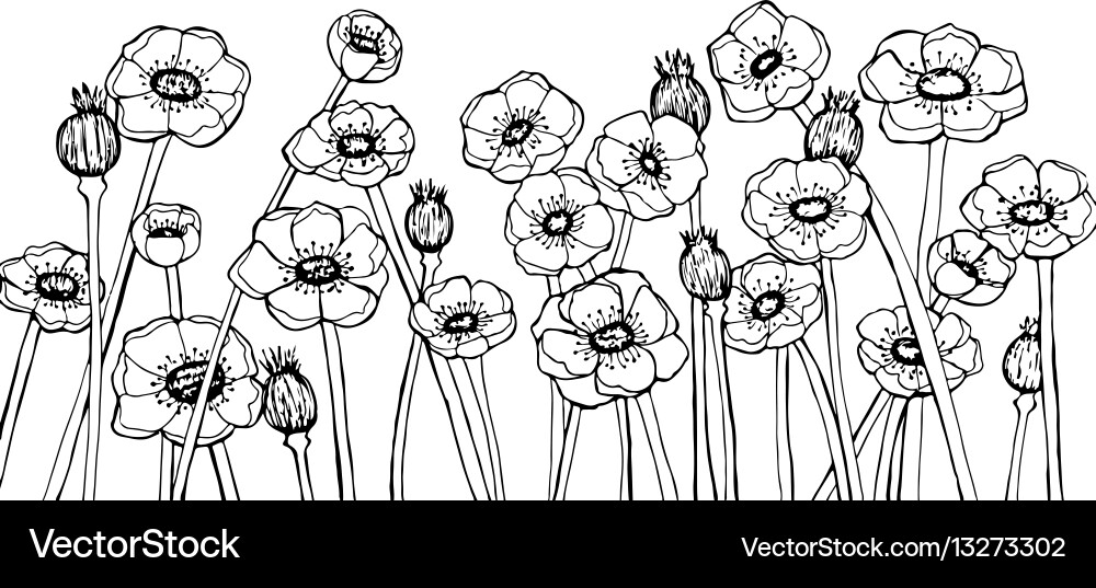 Poppy-01 Royalty Free Vector Image - VectorStock