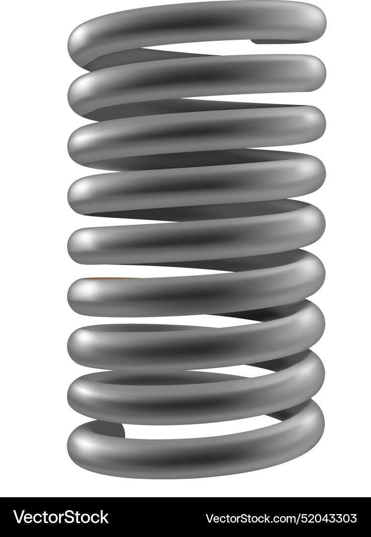A silver metal coil spring isolated on a white Vector Image