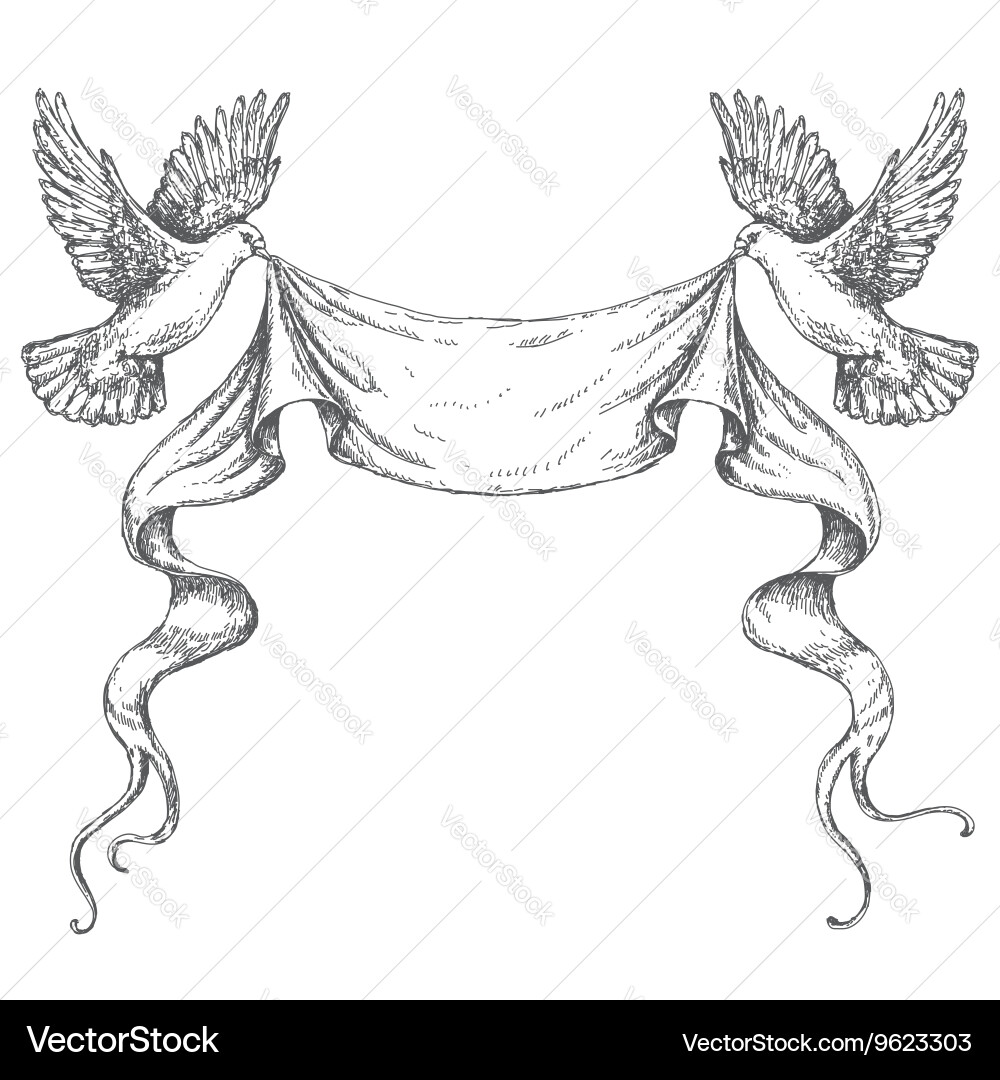 Flying Doves with Ribbon Sketch Royalty Free Vector Image