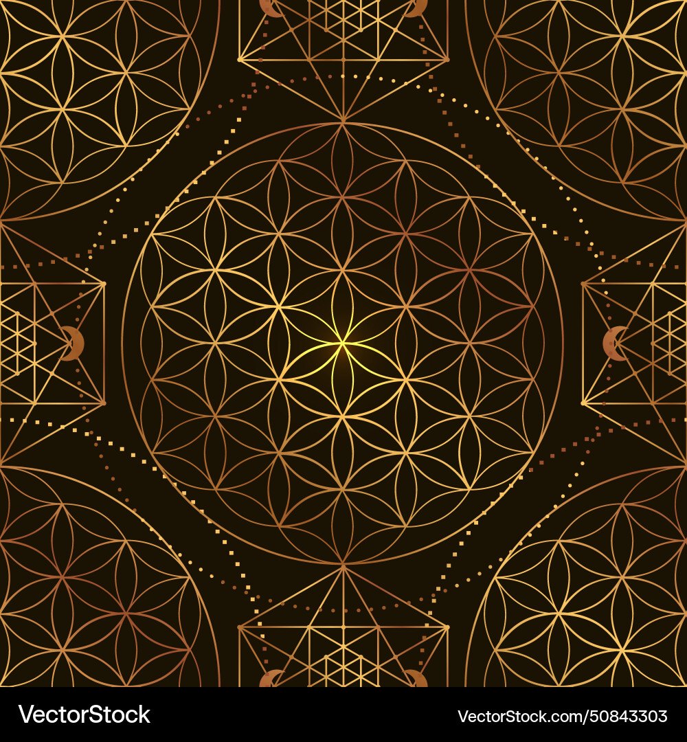 Pattern of sacred geometry symbol Royalty Free Vector Image