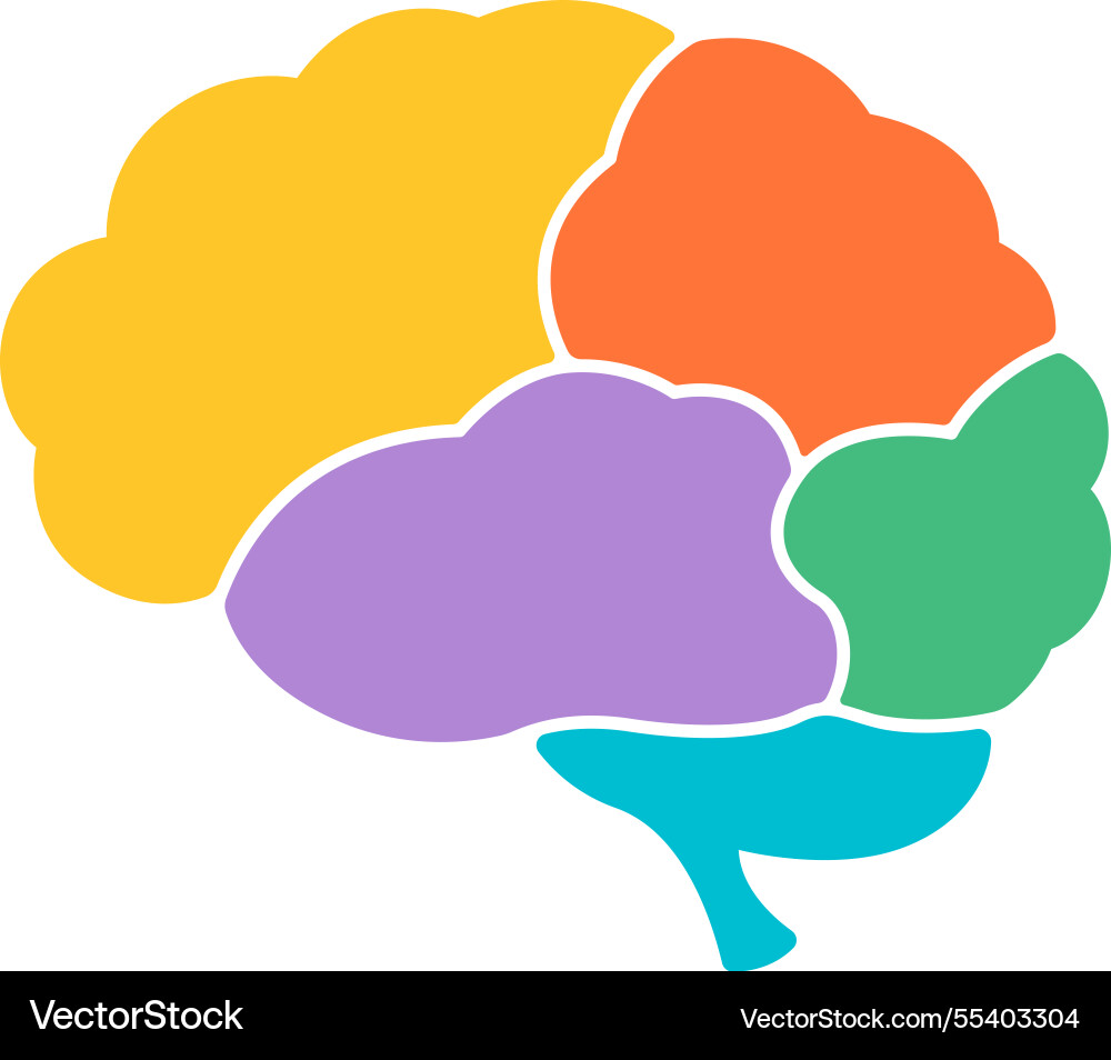 A graphical representation of the brain Royalty Free Vector