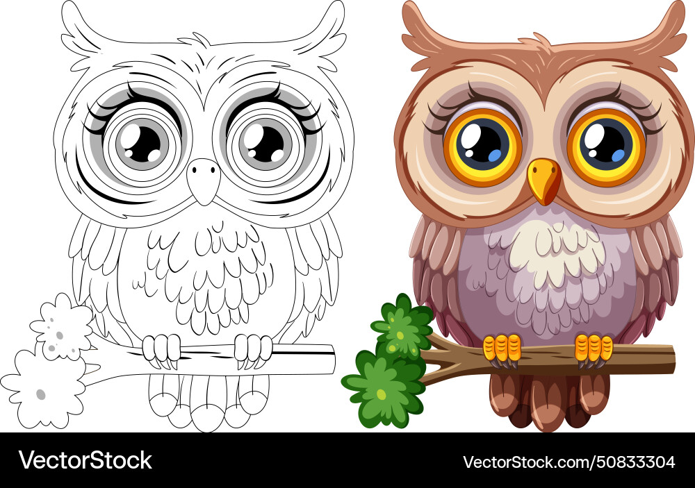 An owl colored and line art Royalty Free Vector Image