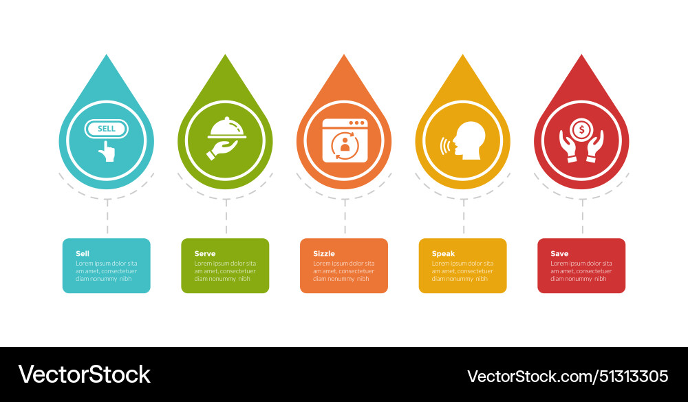 5s model marketing infographics template diagram Vector Image