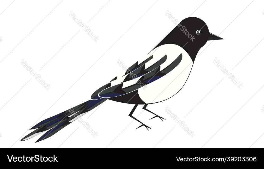 Cartoon magpie bird Royalty Free Vector Image - VectorStock
