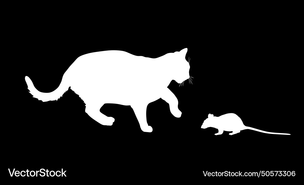 Fat hungry cat is chasing the mouse silhouette Vector Image