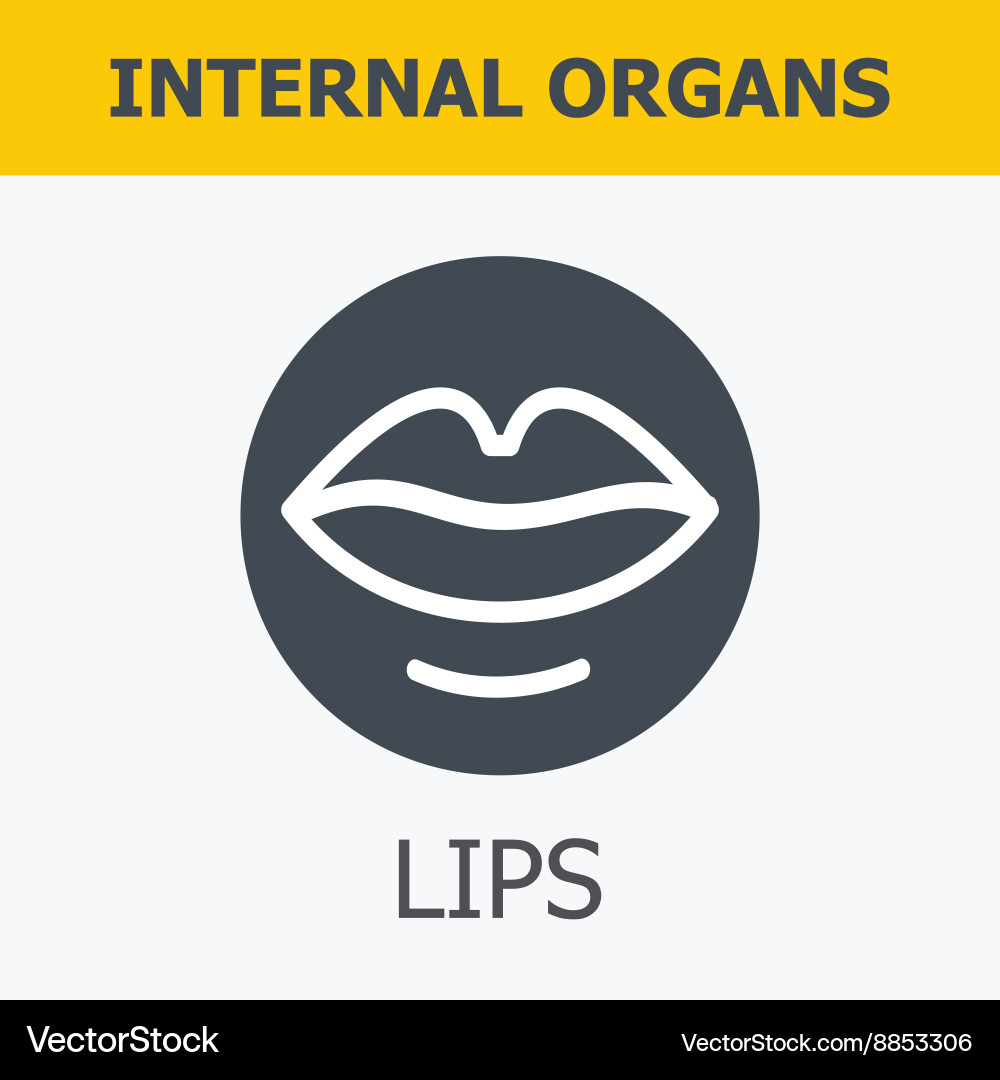 Internal organs - lips Royalty Free Vector Image