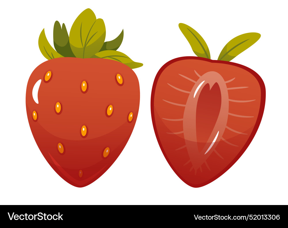Set of fresh bright strawberries whole half Vector Image