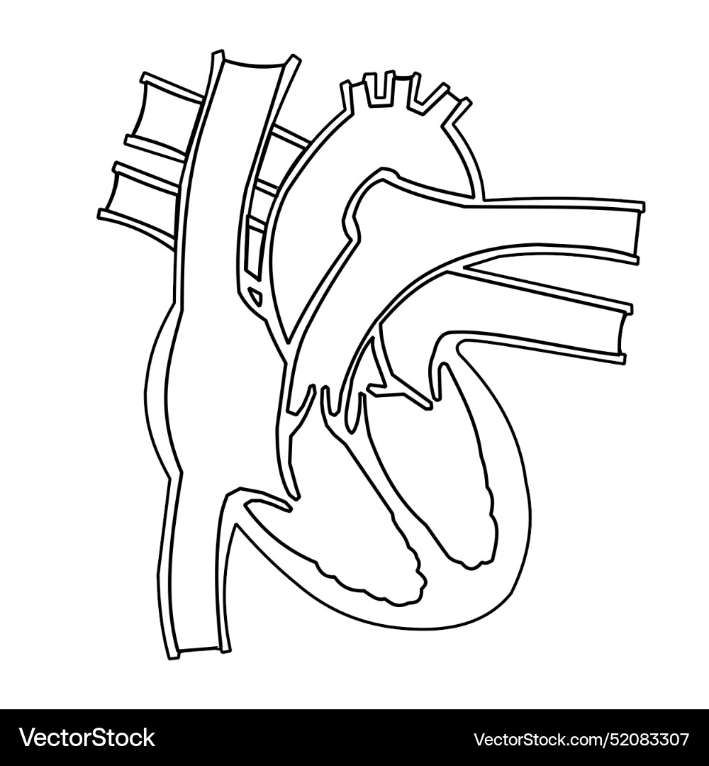 Detailed heart outline Royalty Free Vector Image