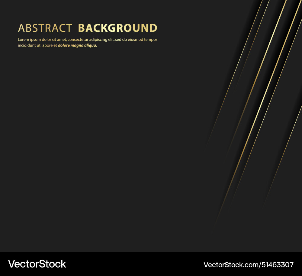 Premium background abstract luxury pattern gold Vector Image
