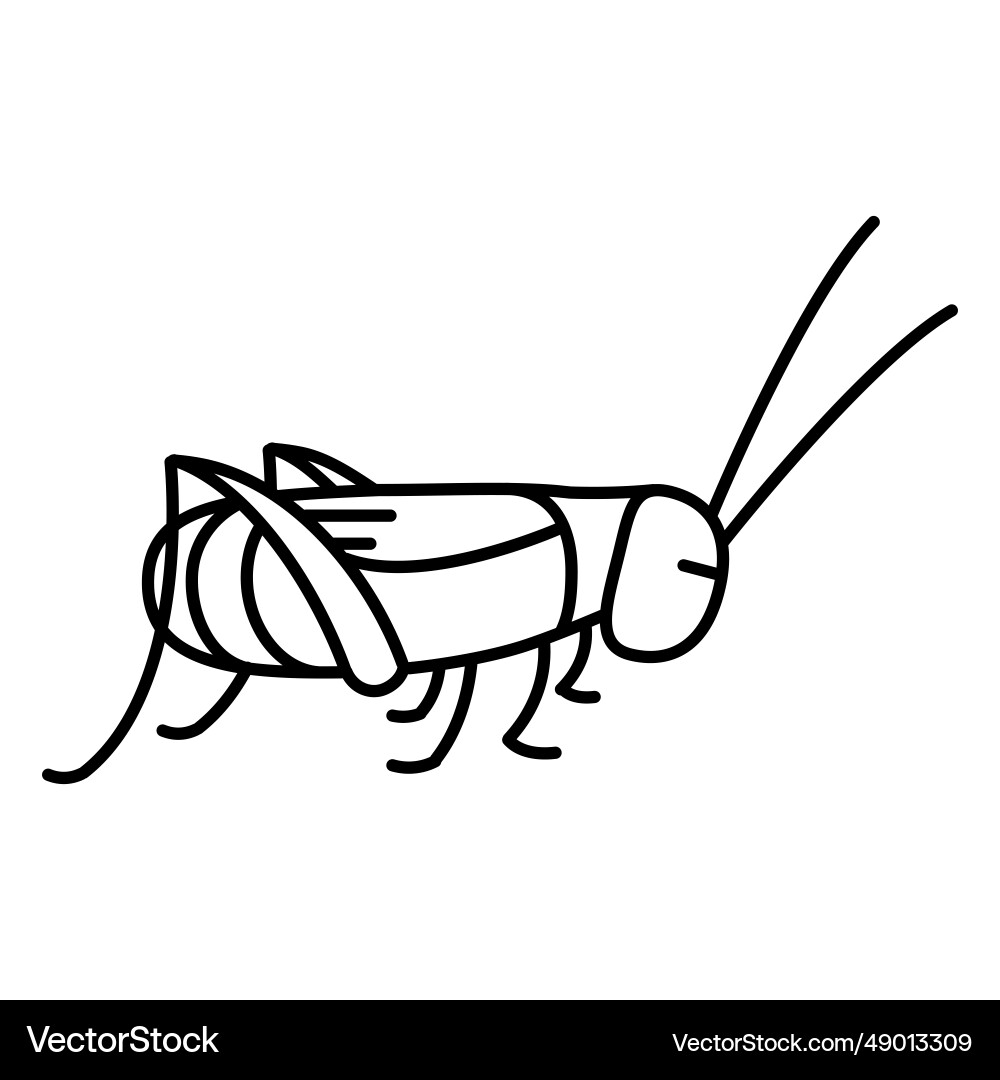 Cricket Insect Outline Royalty Free Vector Image