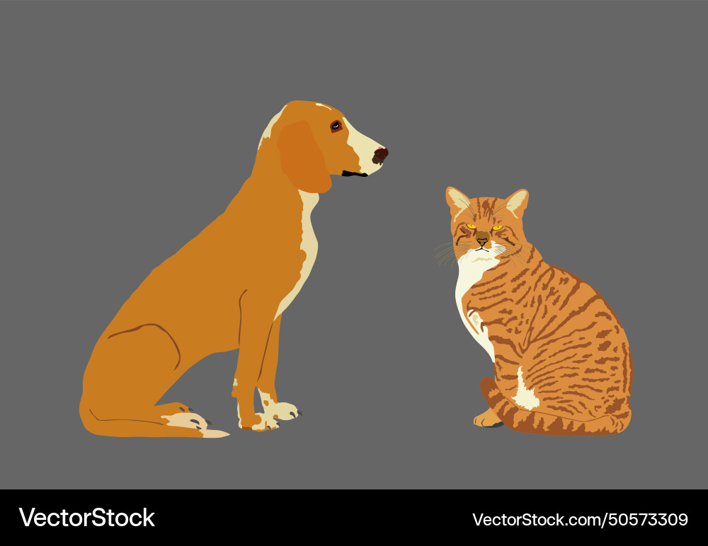 Domestic dog and cat isolated Royalty Free Vector Image