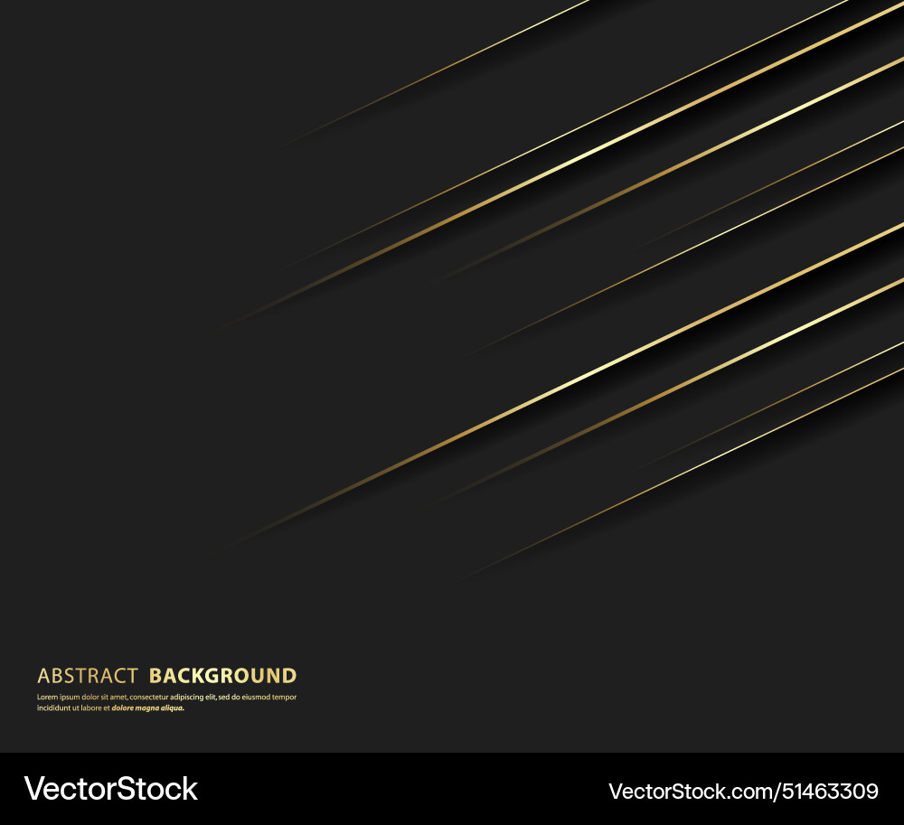 Premium background abstract luxury pattern gold Vector Image