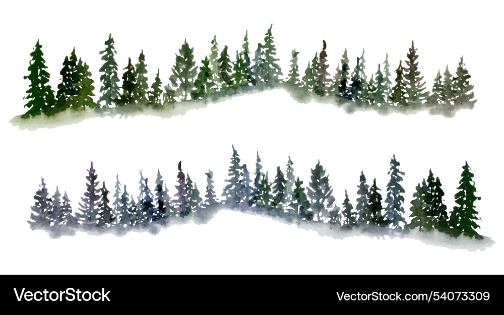Scenery landscape coniferous forest fir spruce Vector Image