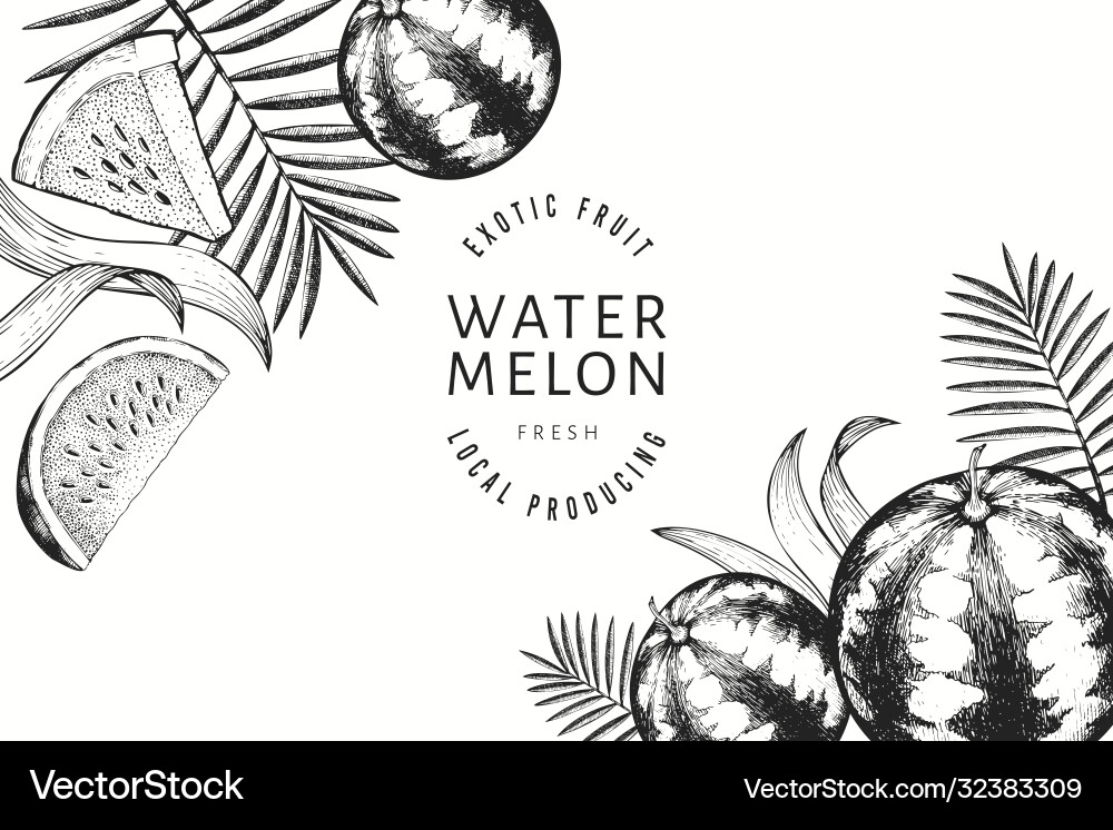 Watermelons melons and tropical leaves design Vector Image