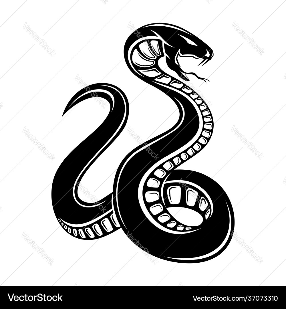 Aggressive Snake Icon Royalty Free Vector Image