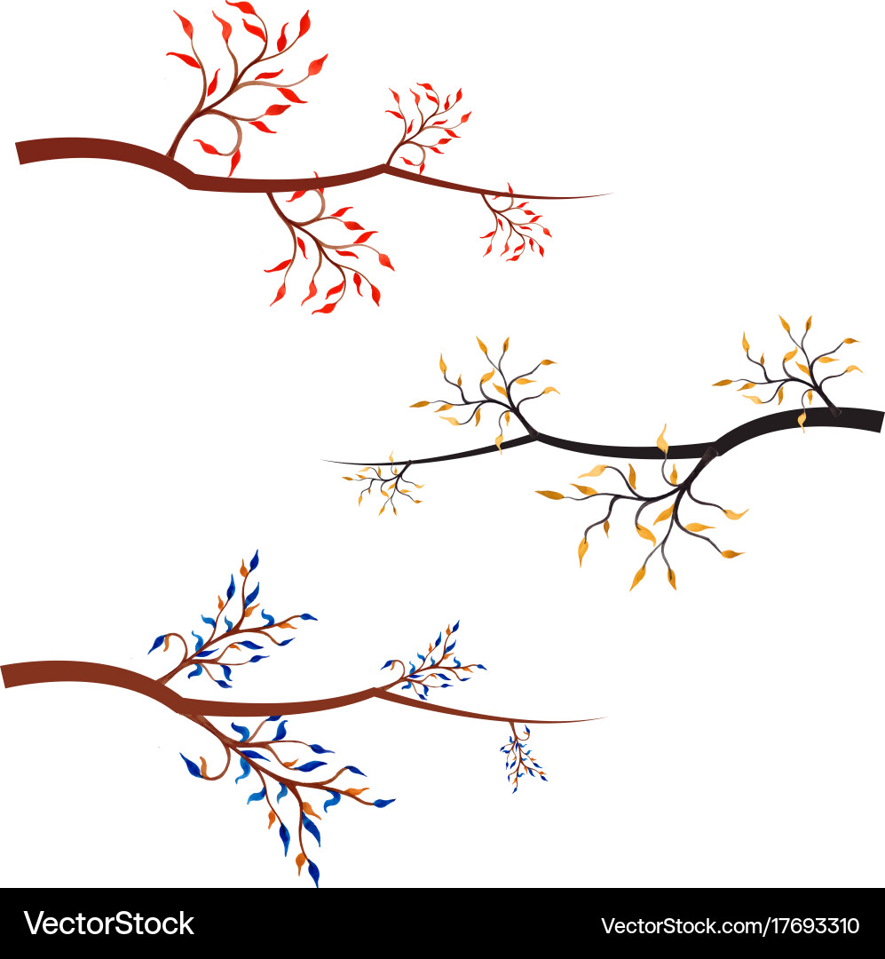 Branches collection Royalty Free Vector Image - VectorStock