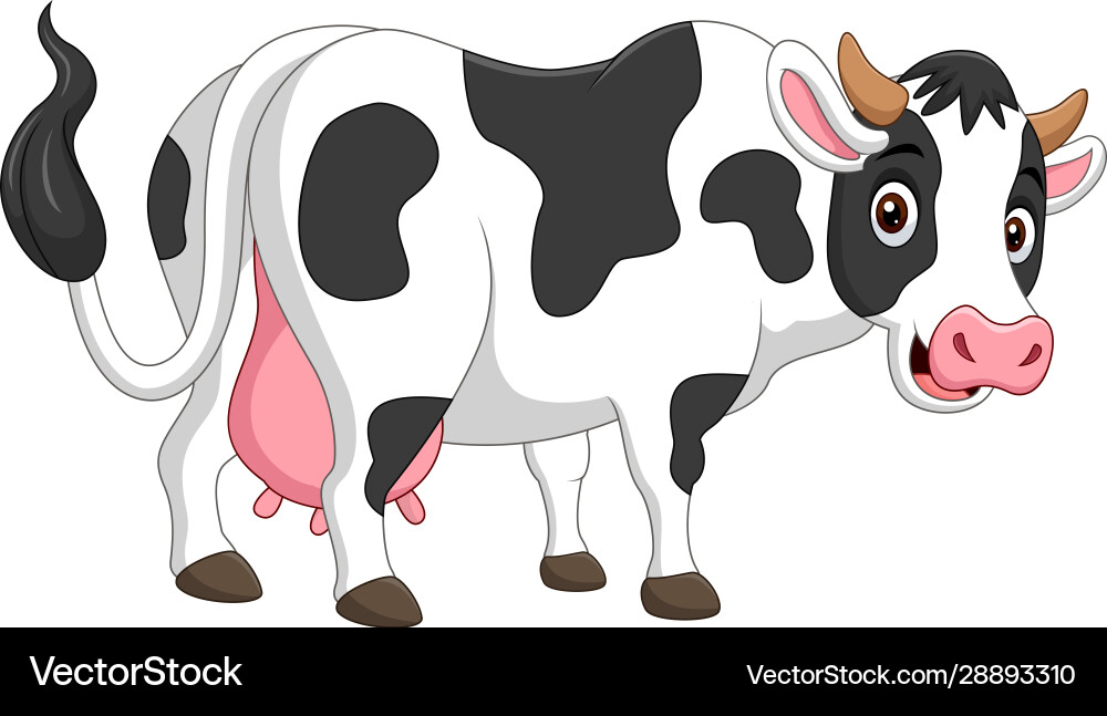 Cartoon happy cow posing isolated Royalty Free Vector Image