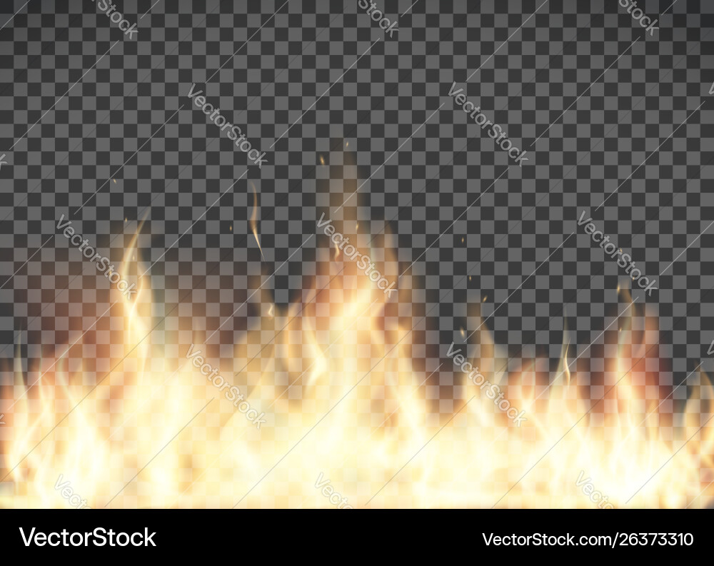 Flame texture fire isolated on transparent Vector Image