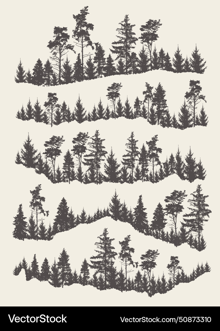 Forest landscape of a pine Royalty Free Vector Image