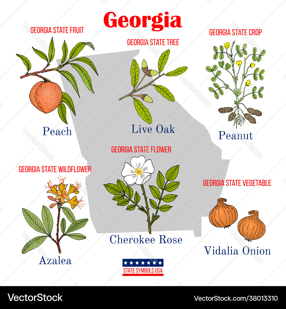 Georgia State Symbols Premium Photo | Flag Of Georgia Georgian State