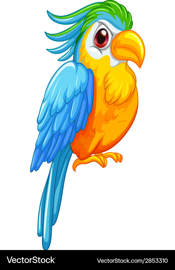 Parrot Royalty Free Vector Image - VectorStock