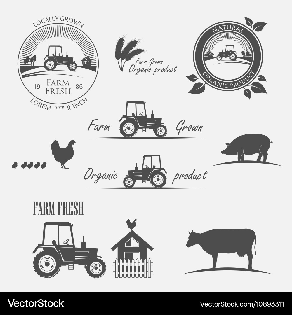 Fresh farm produce Royalty Free Vector Image - VectorStock