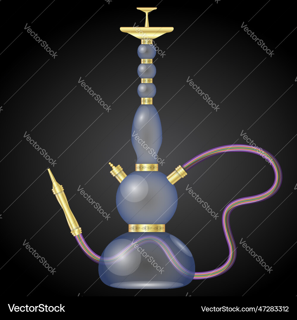 Hookah flask unique design for smoking Royalty Free Vector