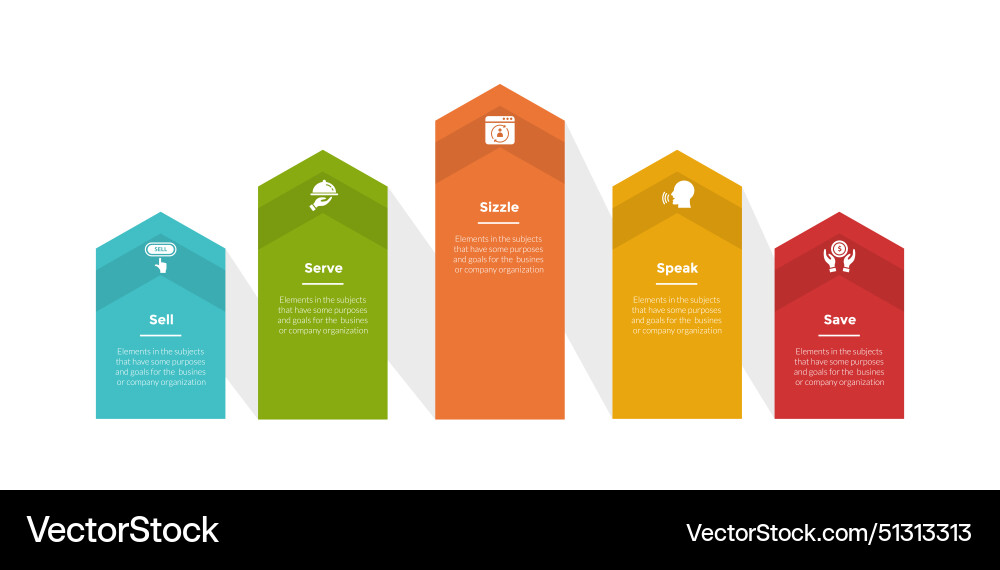5s model marketing infographics template diagram Vector Image