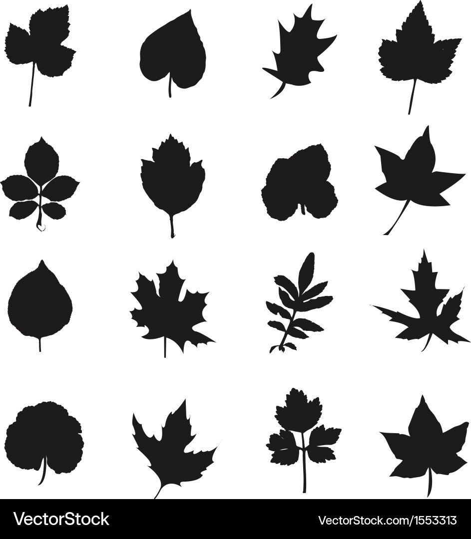 Black leaves Royalty Free Vector Image - VectorStock