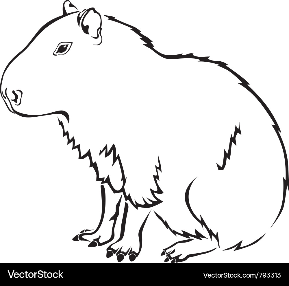 Capybara Royalty Free Vector Image - VectorStock