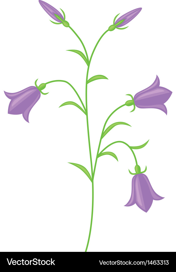 Cute Lilac Flower Cartoon Royalty Free Vector Image