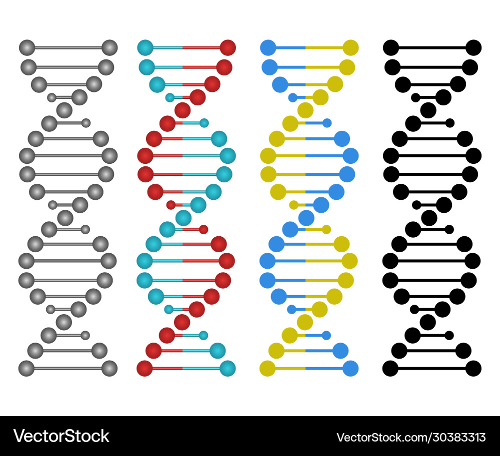 Human dna Royalty Free Vector Image - VectorStock