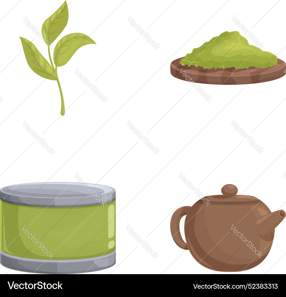 Matcha tea collection Royalty Free Vector Image