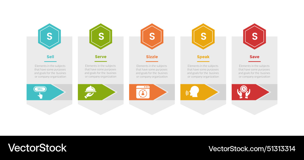 5s model marketing infographics template diagram Vector Image