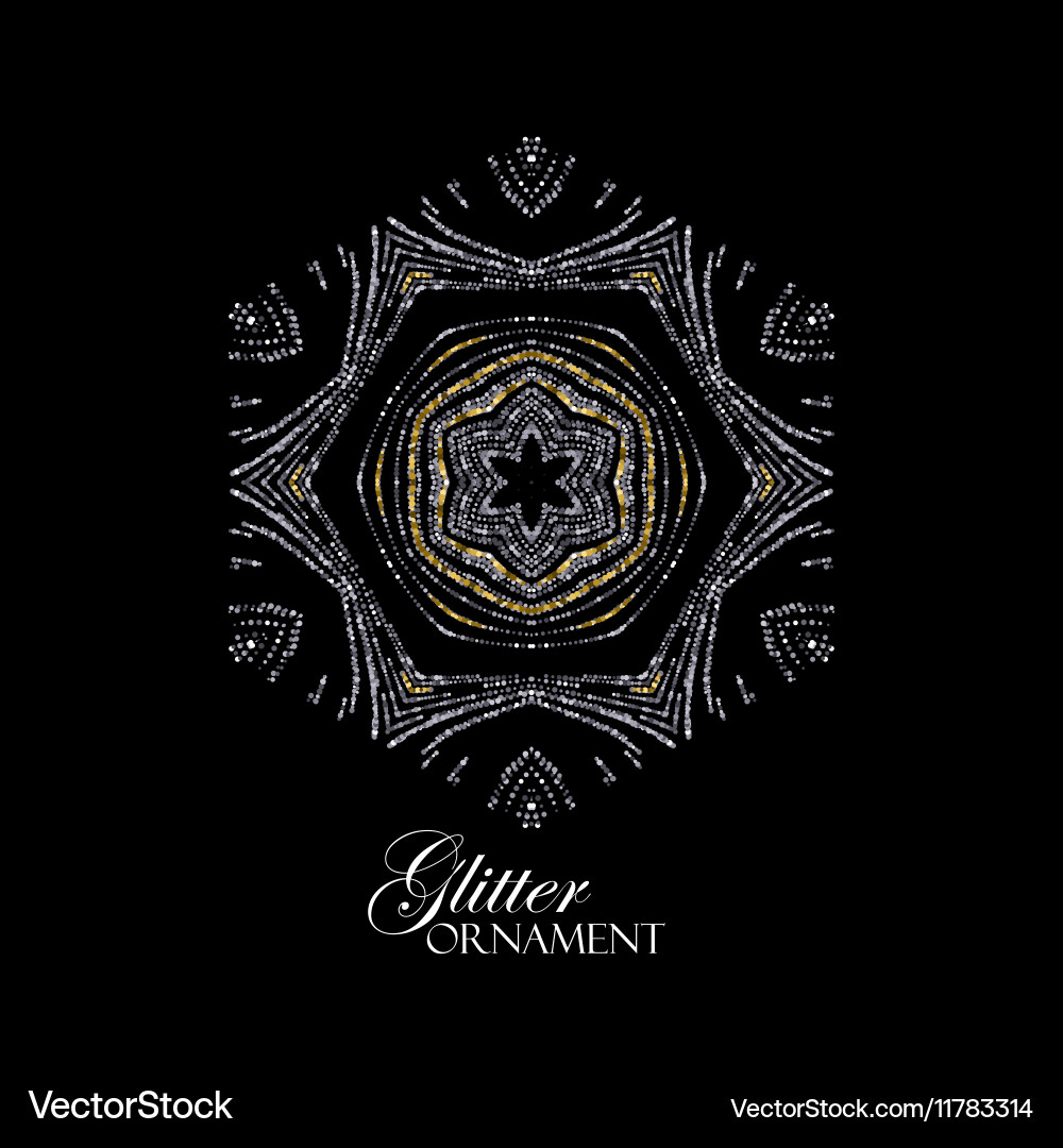 Holiday paillettes decoration Royalty Free Vector Image