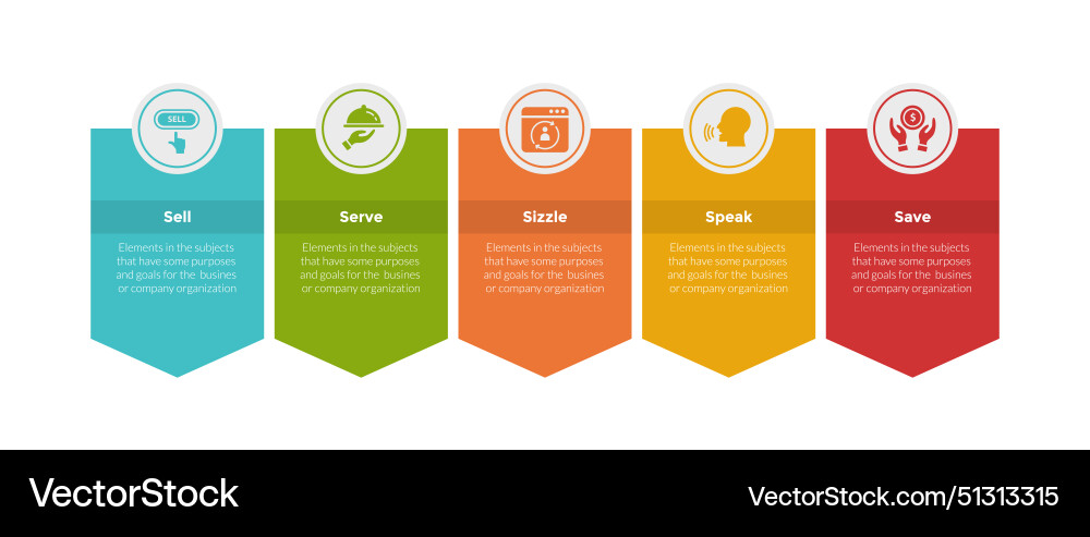5s model marketing infographics template diagram Vector Image