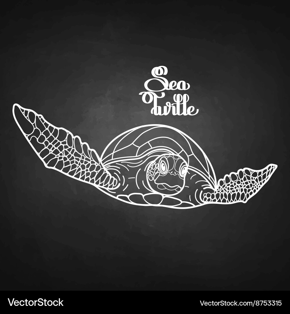 Hawksbill sea turtle Royalty Free Vector Image