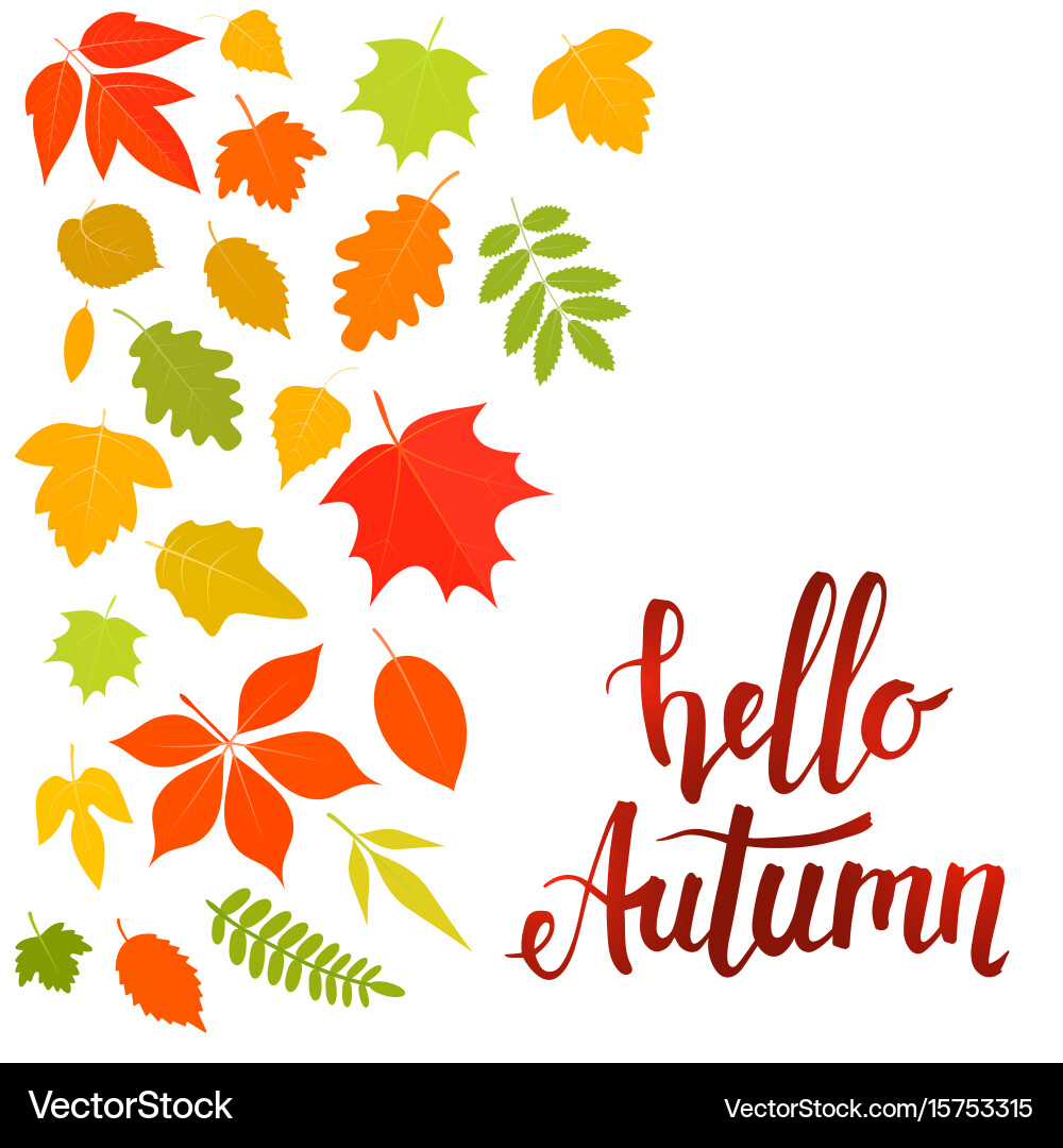 Hello autumn leaves Royalty Free Vector Image - VectorStock