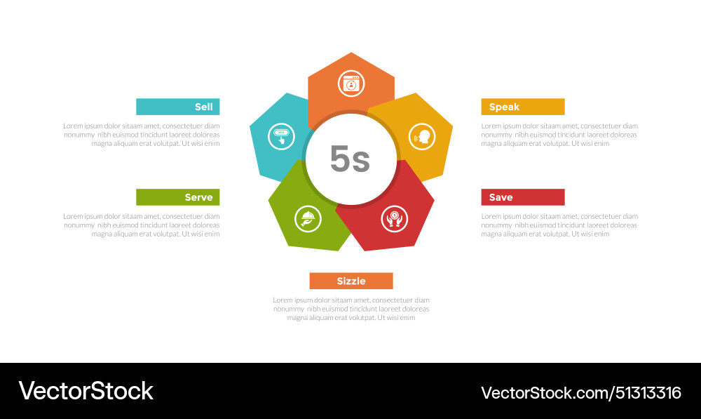 5s model marketing infographics template diagram Vector Image