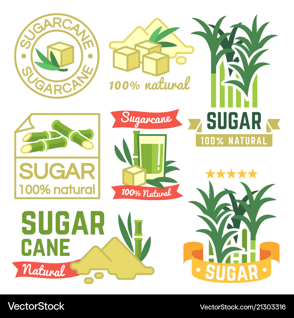 Sugar production labels sugarcane farm badges Vector Image