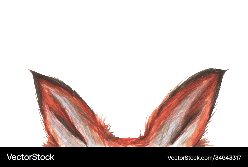 Fox ears watercolor Royalty Free Vector Image - VectorStock