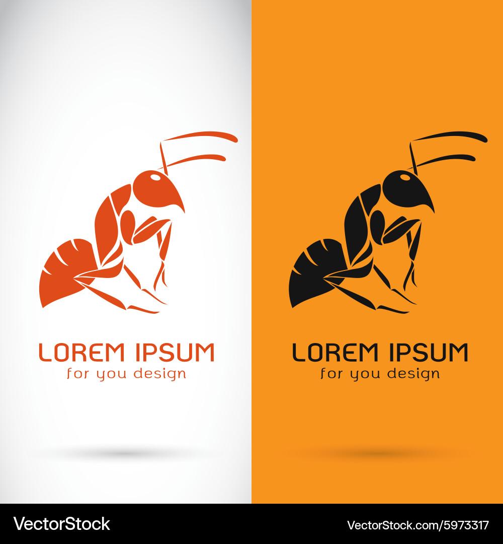 Image of a ant design Royalty Free Vector Image