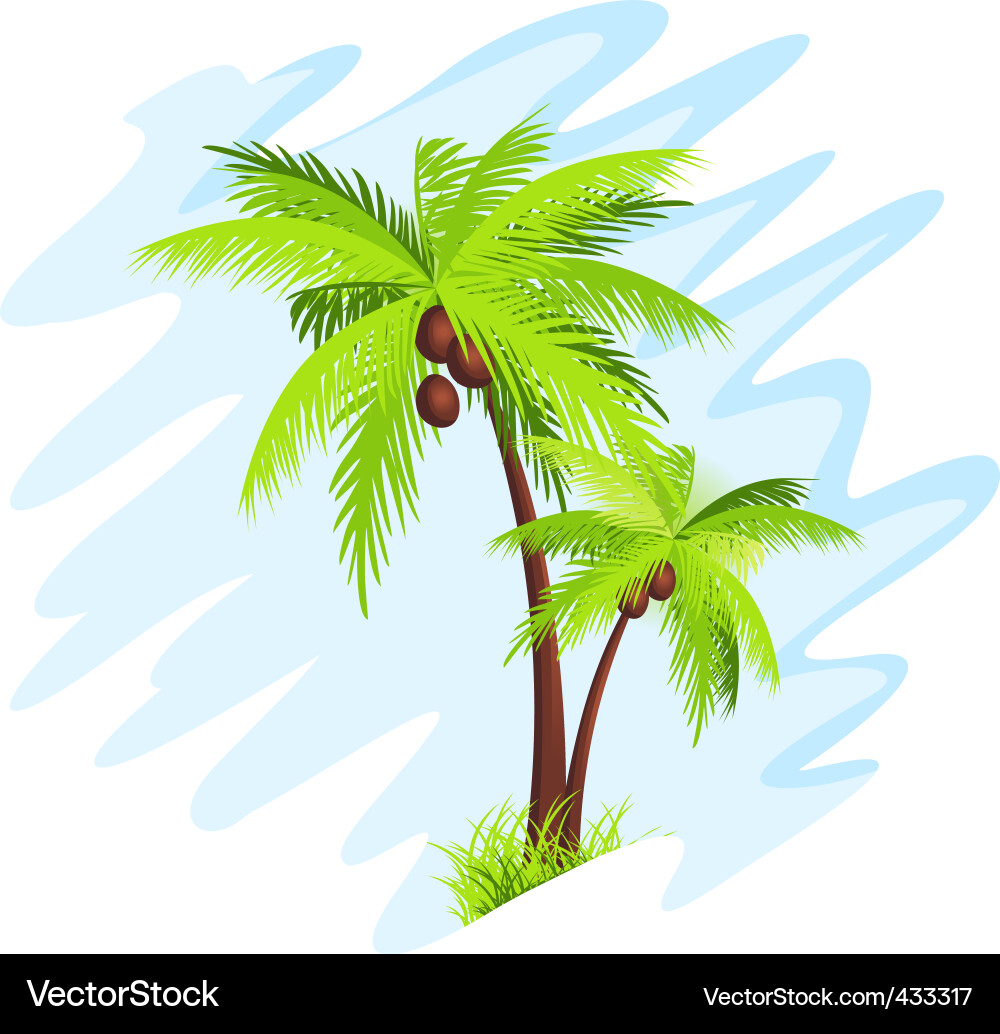 Palm tree Royalty Free Vector Image - VectorStock