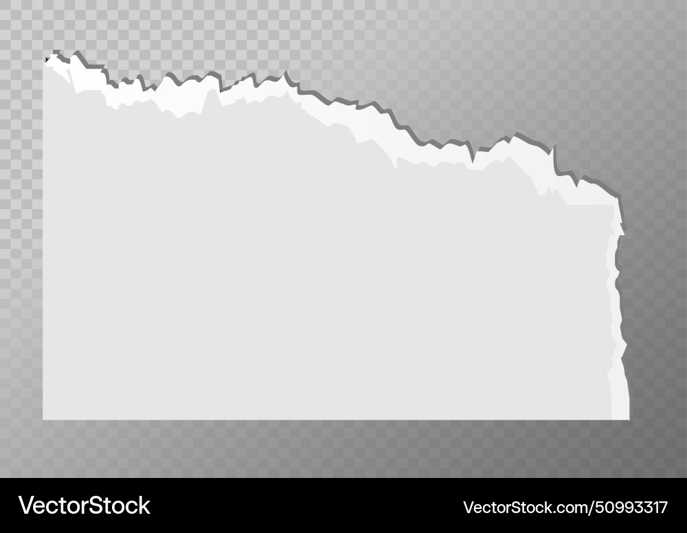 Realistic ripped white paper sheets isolated Vector Image