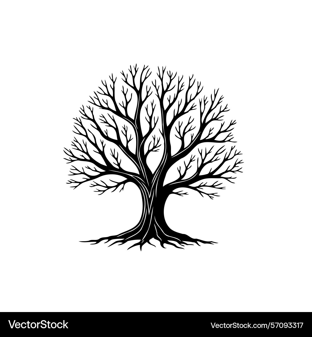 Stylized black and white tree featuring bare Vector Image