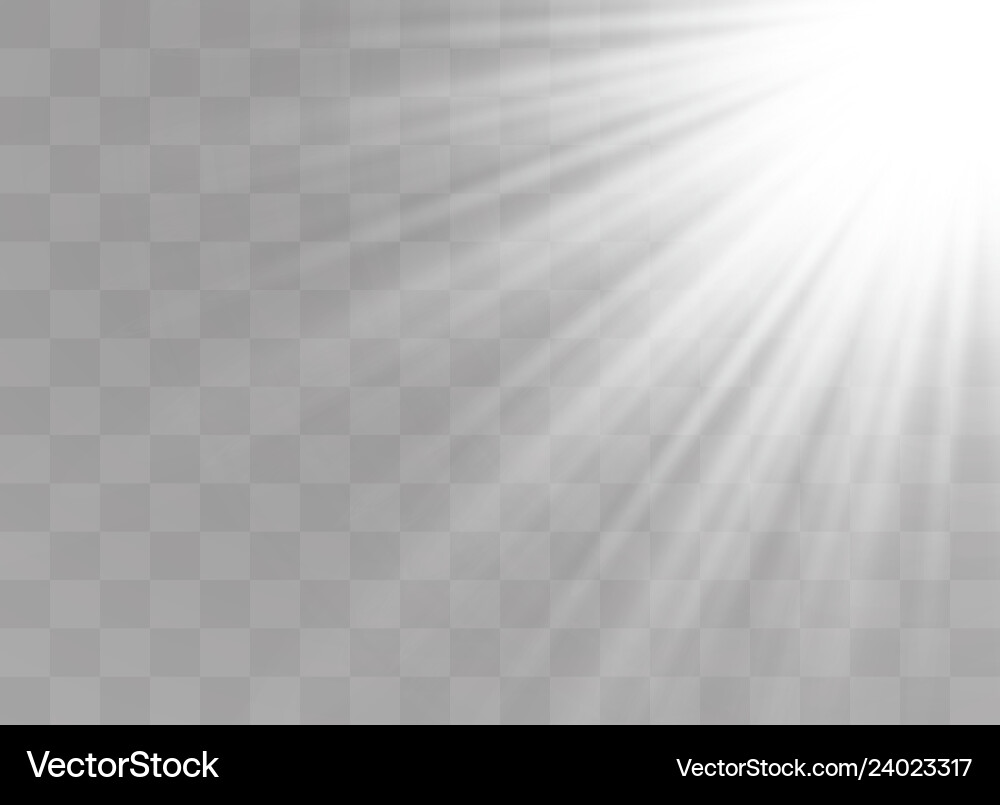 Transparent sunlight Royalty Free Vector Image