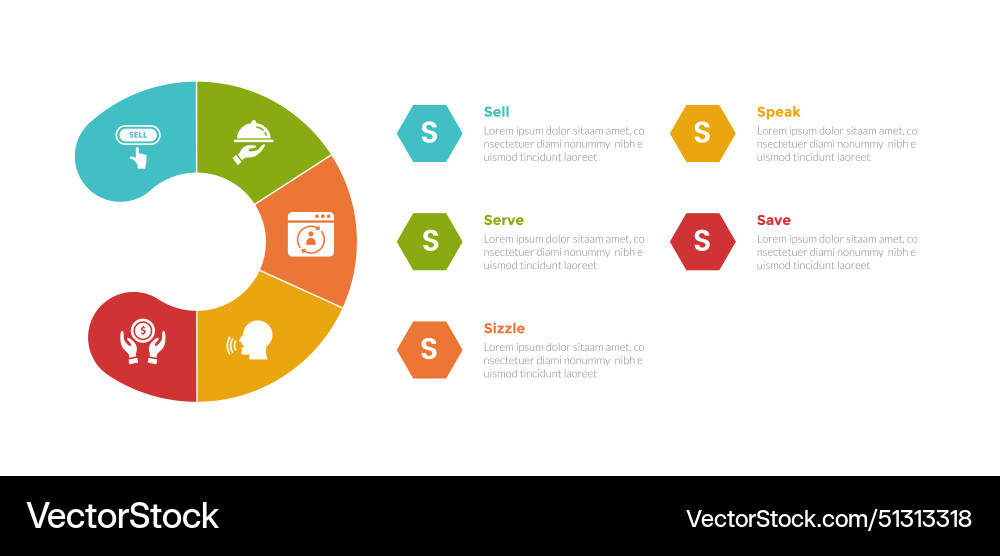 5s model marketing infographics template diagram Vector Image