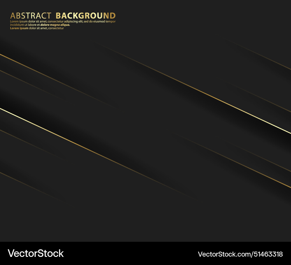 Premium background abstract luxury pattern gold Vector Image